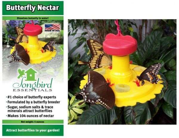 Butterfly Feeders Archives - Backyard Chirper
