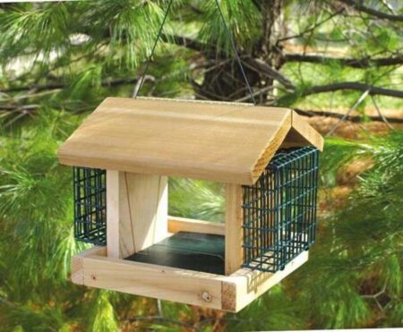Rubicon Suet Bird Feeder with Tail Prop-Hunter Driftwood - Backyard Chirper