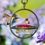 03.04 OZ Sphere Hummingbird Bird Feeder - Backyard Chirper