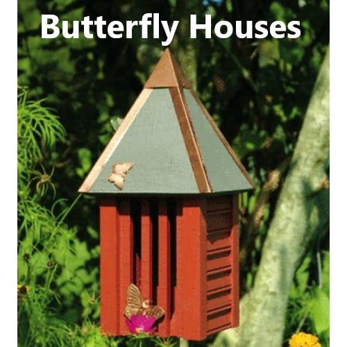 Butterfly House Archives - Backyard Chirper