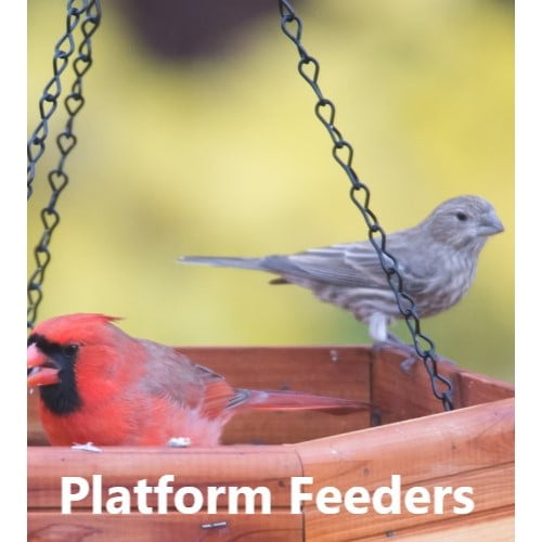 Platform Feeders Archives - Backyard Chirper