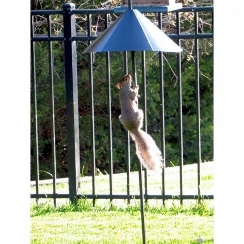 14" Squirrel Defeater Snap-On Pole Baffle - Backyard Chirper
